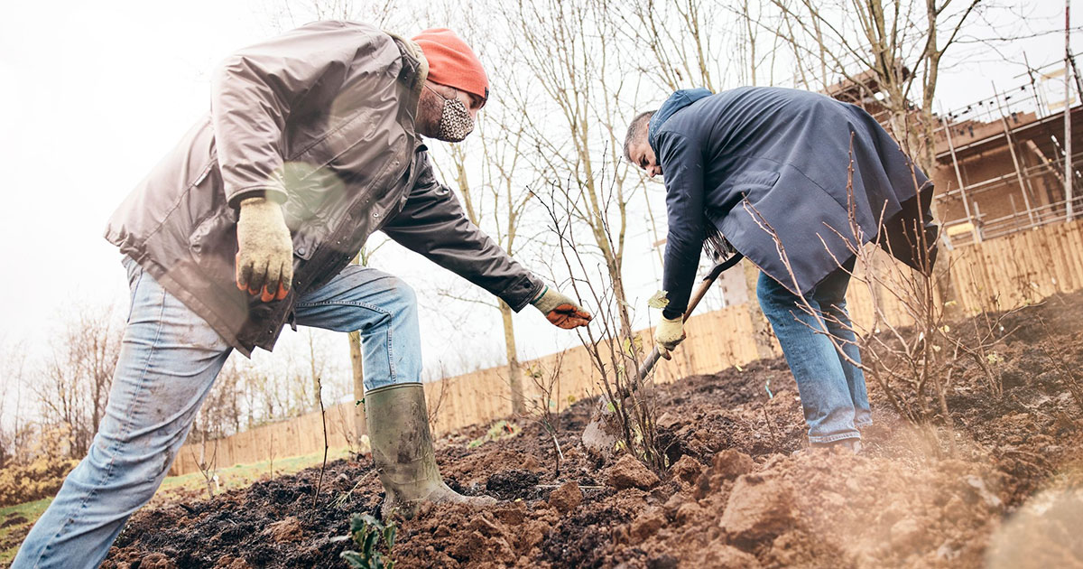 REWIND | MINI - Tiny Forests | IRIE ™ Magazine